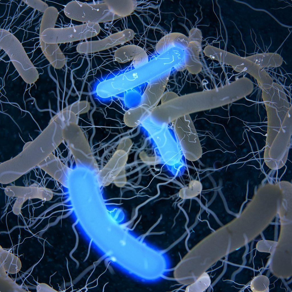 Human-Bacteria Interfaces: An exploration of the present and future of ...