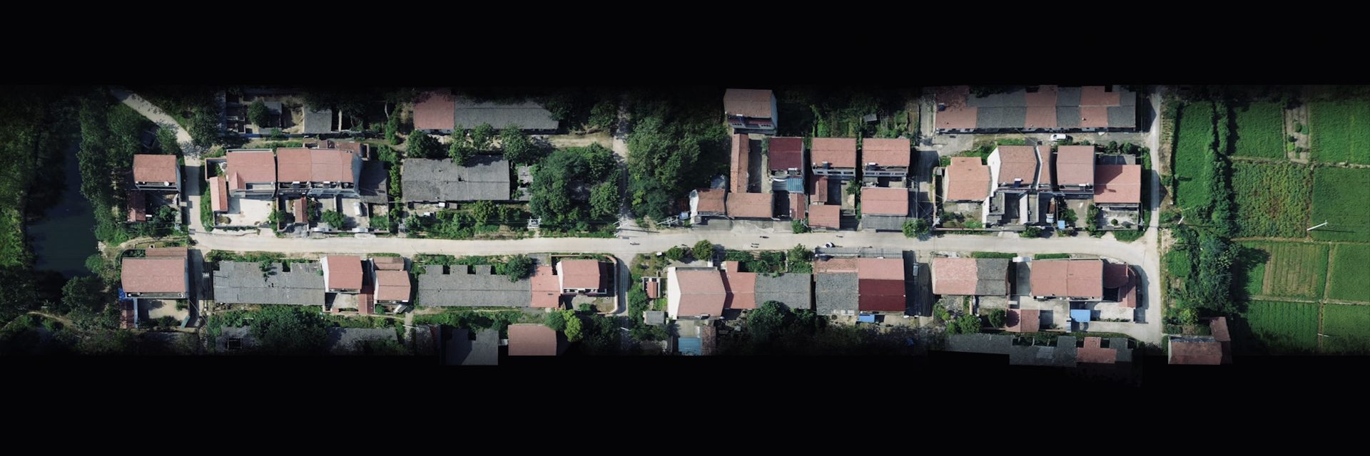 Selected concepts · Driving the Human