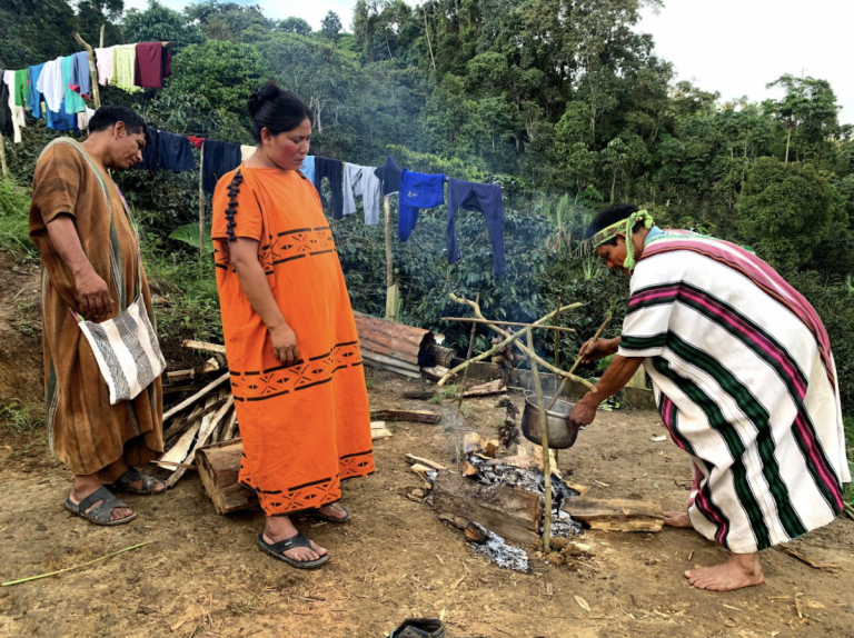 Forests of Indigenous life cycles and histories of displacement ...